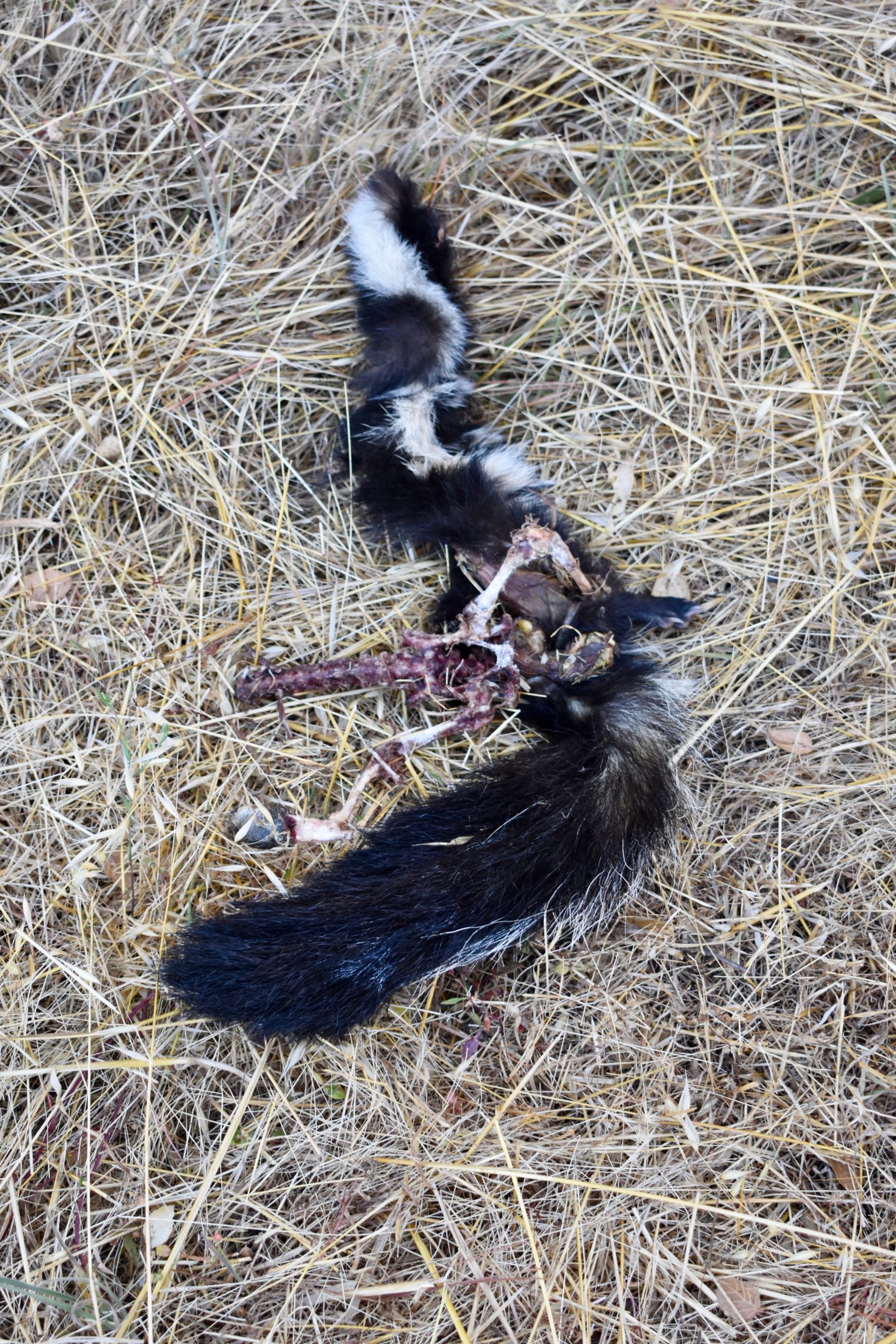 Photography « Sparsely Sage and Timely